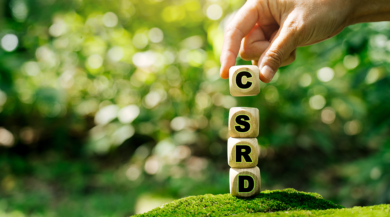 CSRD Roadmap: In 9 Schritten fit für die Zukunft - 4PS Germany